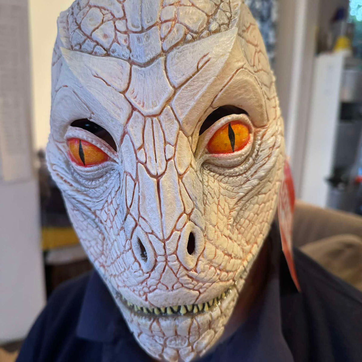 the lizard's mask