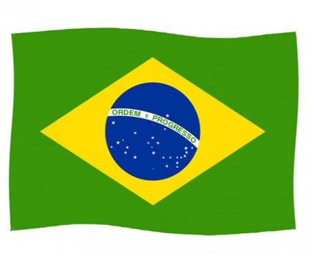 Flag Of Brazil Tattoo – Tattoo for a week