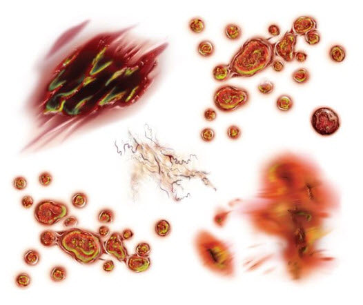 Realistic Wounds Costume Face Tattoo – Tattoo for a week