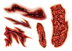 Wounds Tattoos – Tattoo for a week